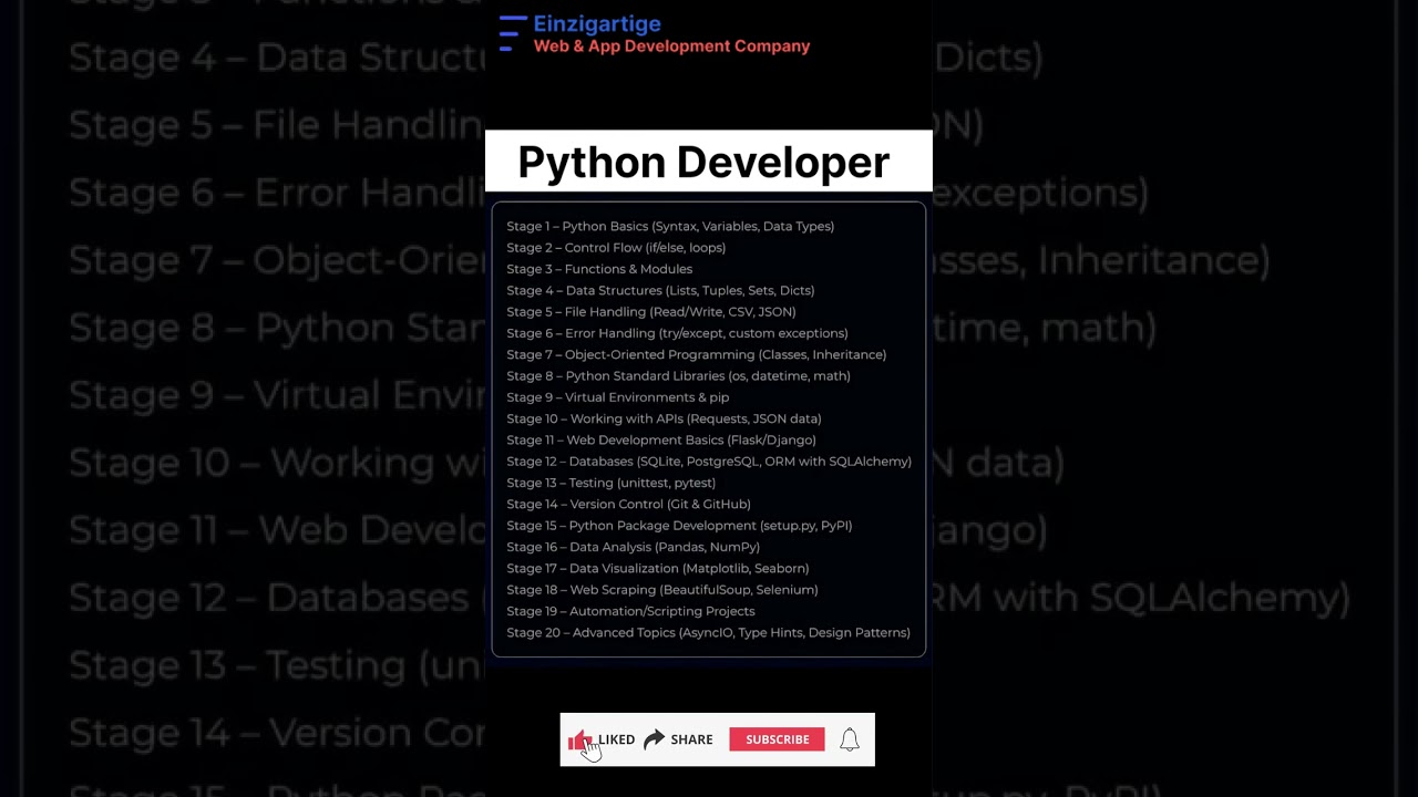 Python Developer Roadmap 2025 | Level Up Your Coding Skills with Einzigartige