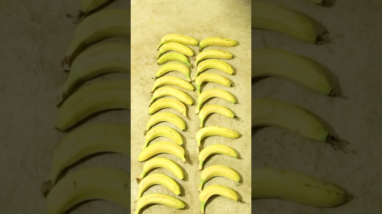 Quick and easy banana bread recipe