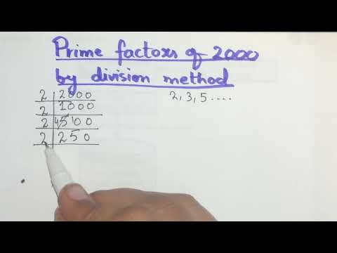 Prime factors of 2000 by division method | in Urdu/Hindi |
