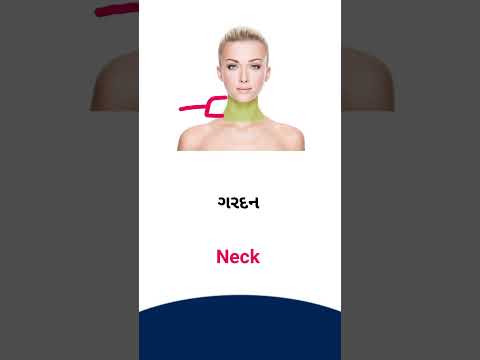 Neck meaning in Gujarati - English Dictionary