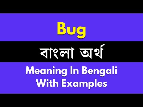Bug Meaning In Bengali/Bug শব্দের বাংলা ভাষায় অর্থ অথবা মানে কি