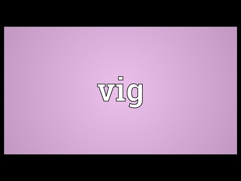 Vig Meaning
