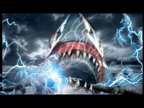 Shark wallpaper and photos