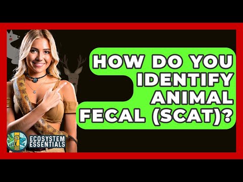 How Do You Identify Animal Fecal (Scat)? - Ecosystem Essentials