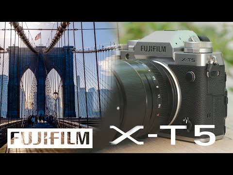 Fuji X-T5: Initial impressions