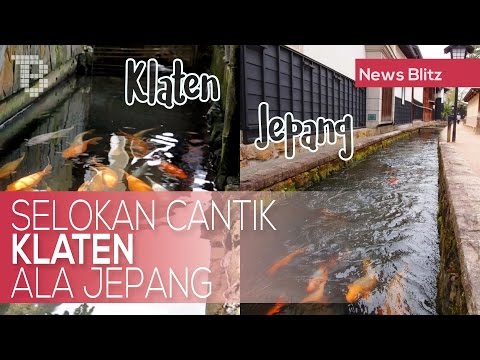 Beautiful Japanese-style Gutter full of Koi in Klaten, Central Java ...