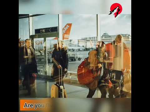 Private Airport Transfers in Cape Town