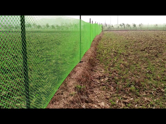 Fencing Net - Plastic Fencing Net Manufacturer from New Delhi