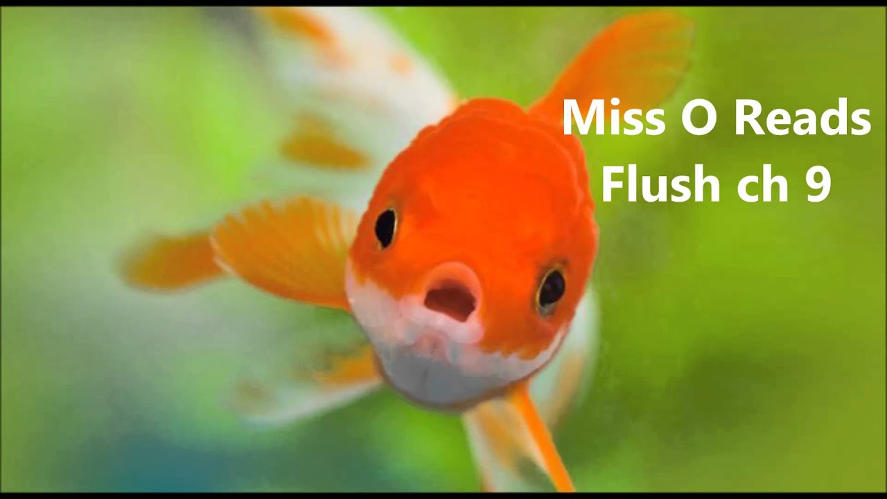 MIss O Reads Flush ch 9
