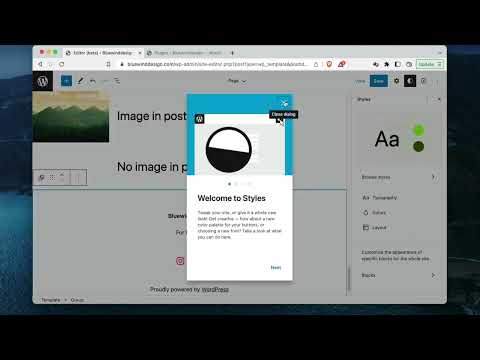 FSE Program Site Editor Sneak Peek Summary – Make WordPress Test