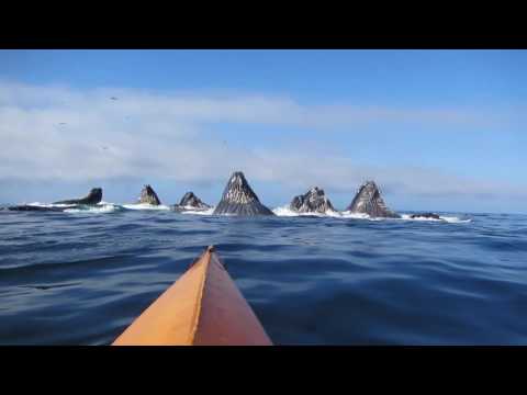 Amazingly close kayak encounter with feeding whales in Monterey Bay