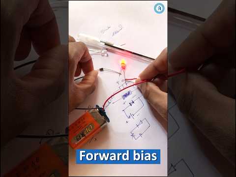 Forward bias & Reverse bias of a Diode ⚡️ #diode #electronic #physics #science #practical