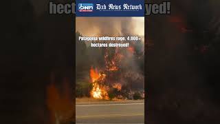 Patagonia Wildfire 4000 Hectares El Abuelo Tree Danger
