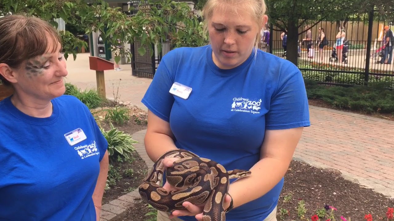 Snake day at the Saginaw Children’s Zoo