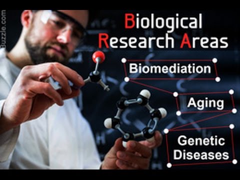 THESIS TOPIC IDEAS FOR MEDICAL TECHNOLOGY – schalcogo1989