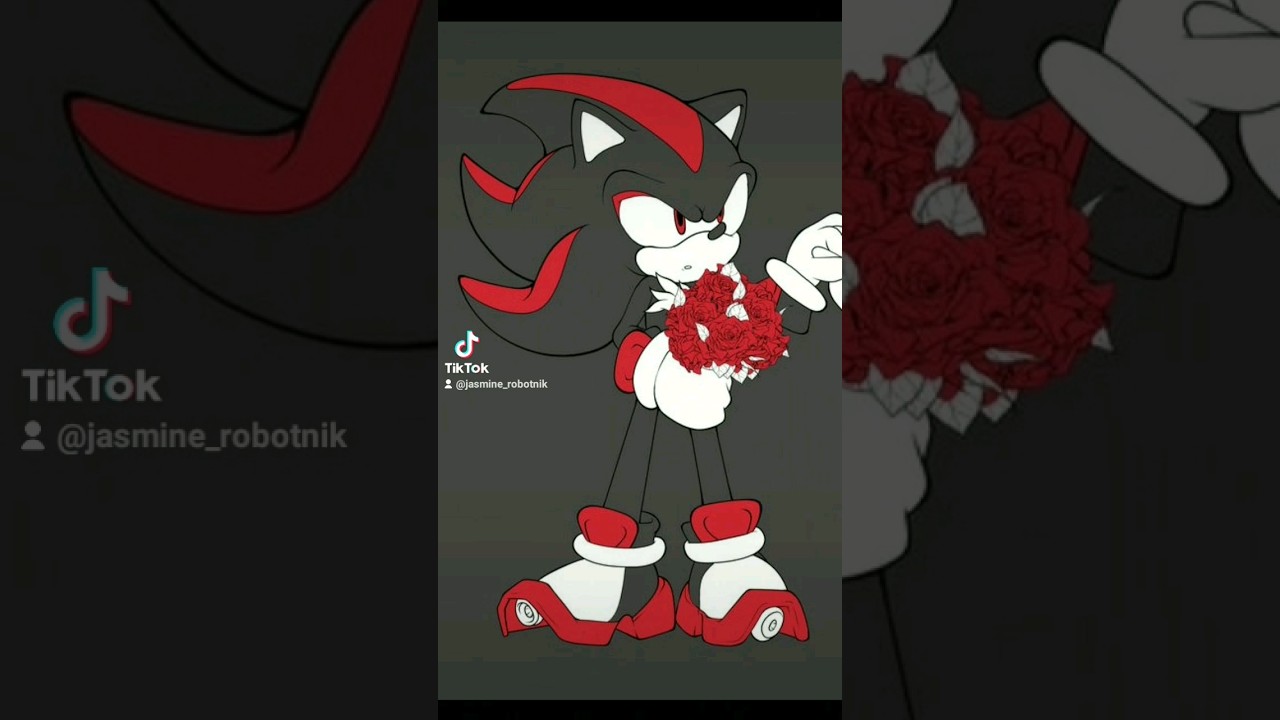 Shadamy Swifties!  #sonicart #shadowthehedgehog #amyrosethehedgehog #sonicthehedgehog #taylorswift