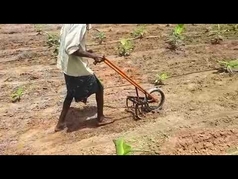 Wheel Hoe Weeder - Hand Wheel Hoe Weeder Ridger Latest Price ...