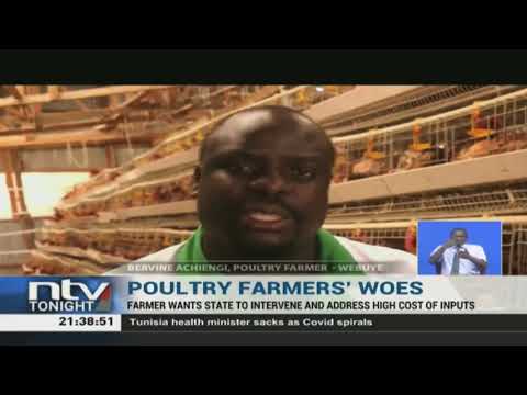 Poultry farmers in Webuye want state to intervene and address high costs of inputs