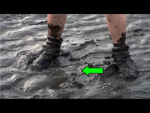 American Sign Language ASL Video Dictionary - mud