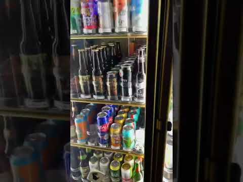 Chicago’s best dive bar - Rossi’s