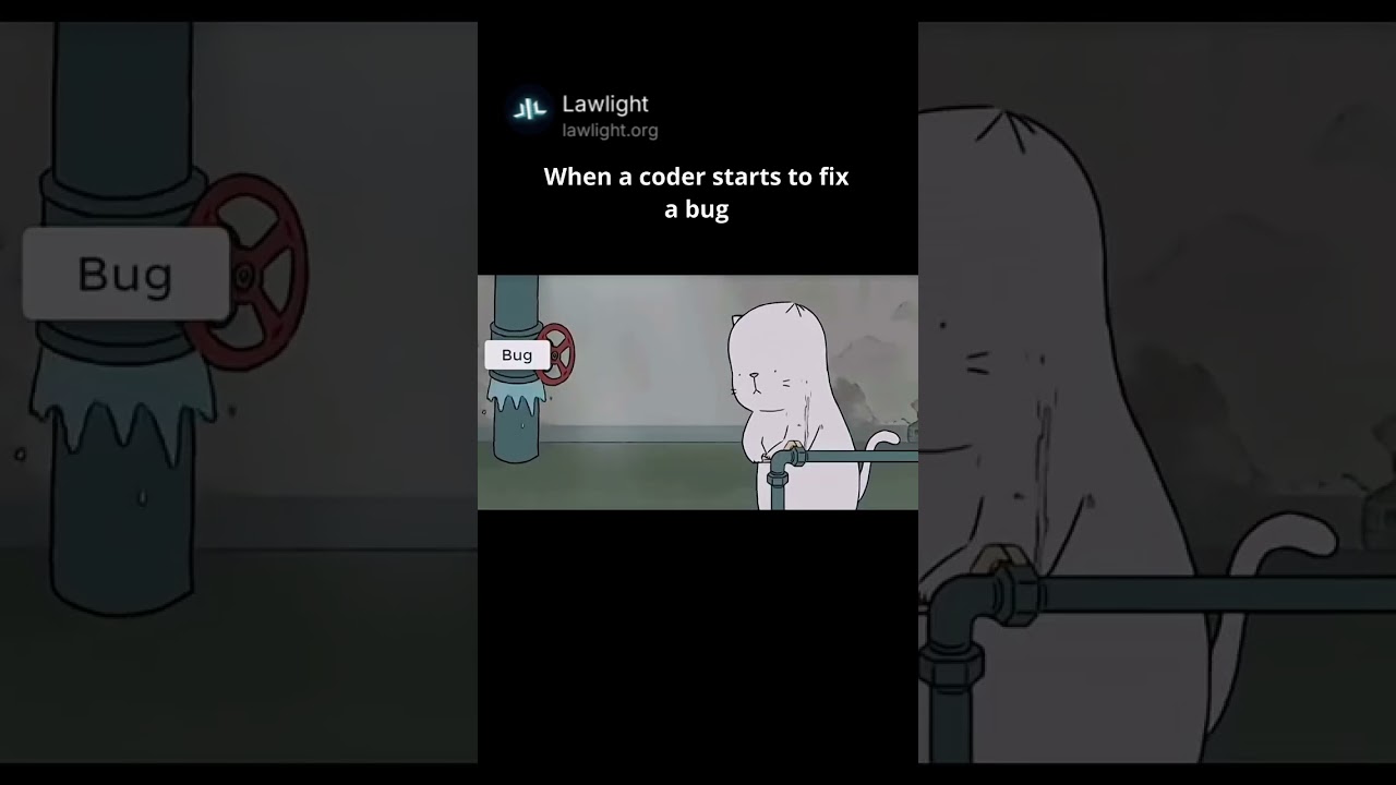 When a coder starts to fix a bug... #techdevelopers #devtech #devchallenges #developer