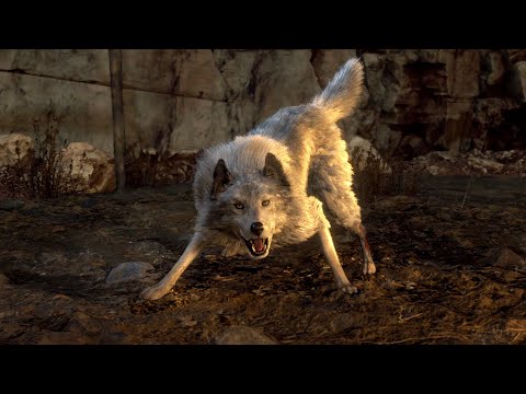 Steam Community :: Video :: Hey, it's that dog! - Resident Evil 4 Remake