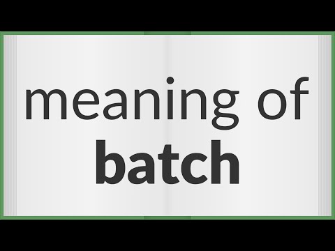 Batch | meaning of Batch