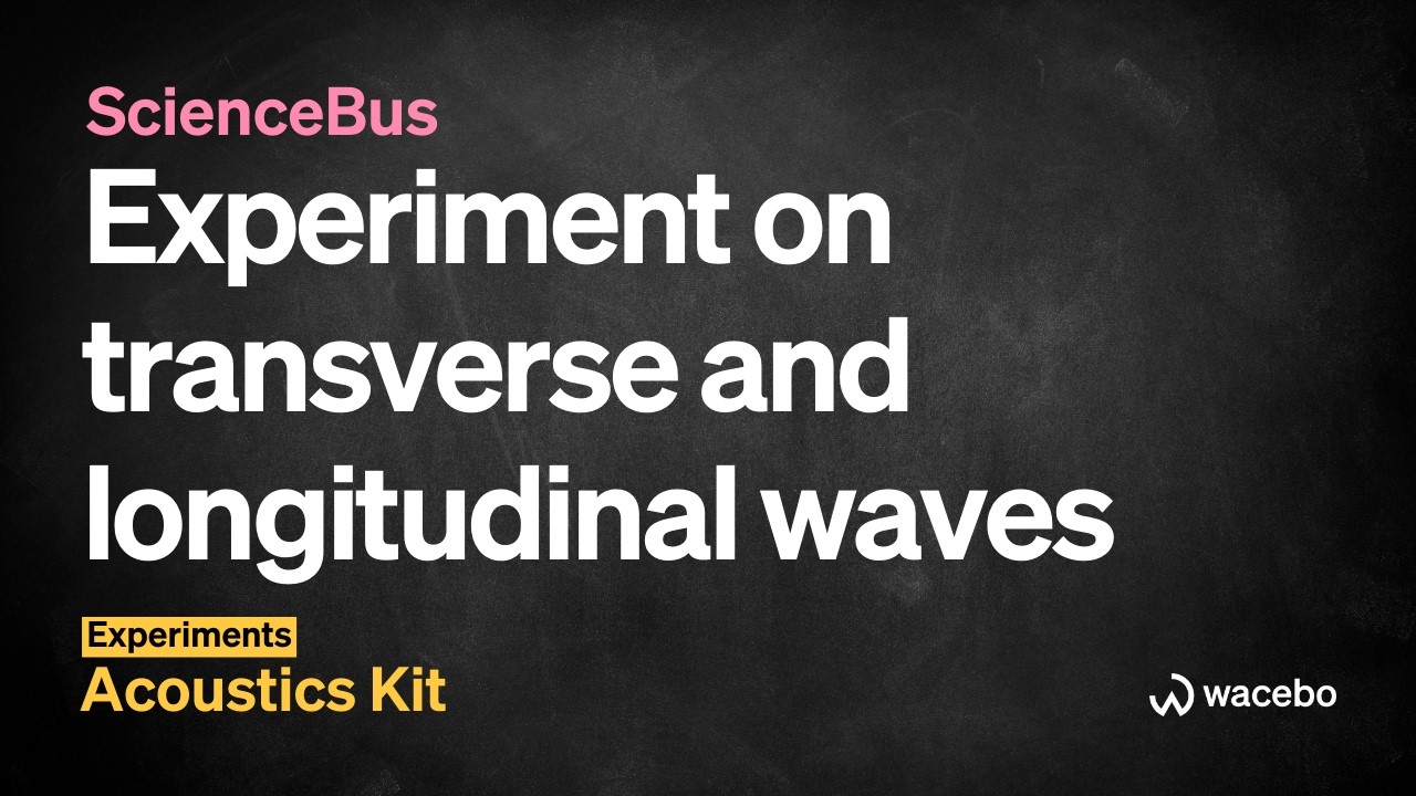 ScienceBus / experiment on longitudinal and transverse waves