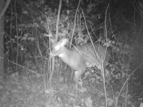 Minnesota hunting lease now available on HLRBO!