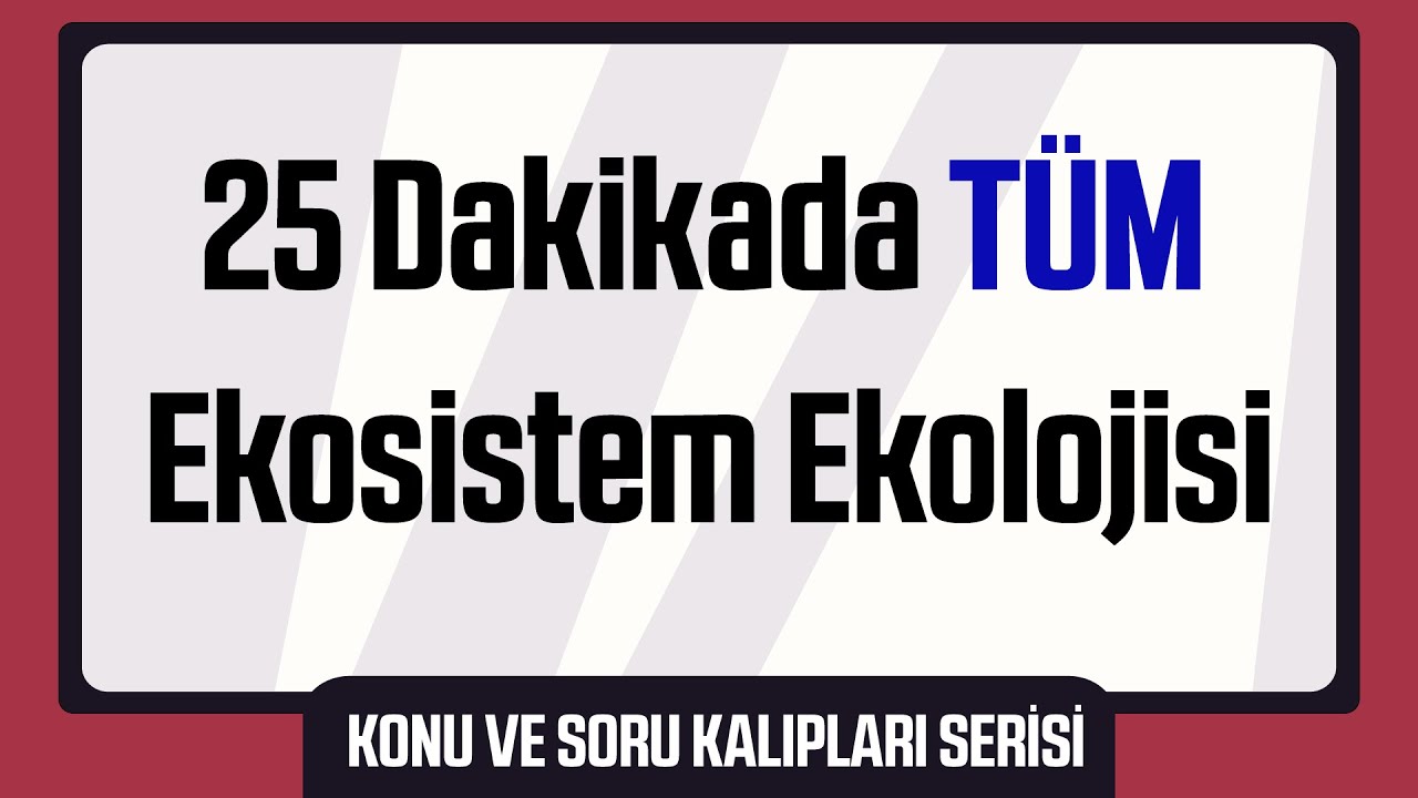 25 Dakikada Tüm Ekosistem Ekolojisi