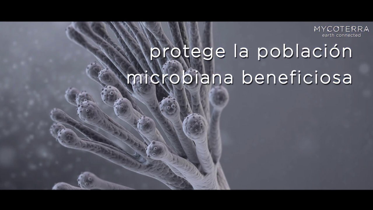 Biofertilizantes orgánicos con Glomus, Trichoderma y hongos micorrízicos