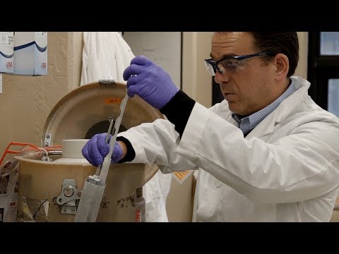 The Carney Institute for Brain Science at Brown University