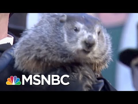 Groundhog Day Has A Whole New Meaning | MTP Daily | MSNBC