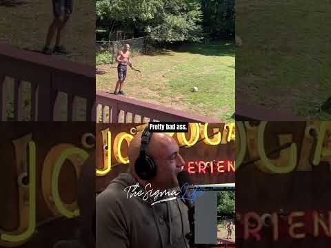 Alex Pereira INSANE Archery Trick Shot - Joe Rogan