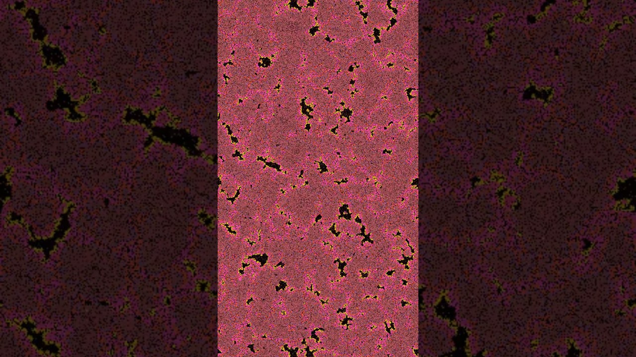 Cellular Automata with colour propagation #simulation #cellular #automata #beautiful #japan
