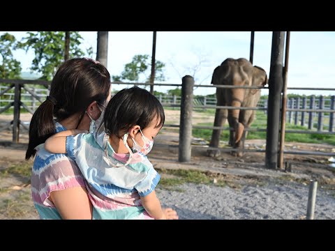 I-love-phants Lodge āļāļēāđāļāđāļāļāđāļāļĒāļĄāļēāļāļāļāļāļđāļāđāļēāļ ðĨ°