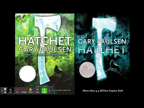 Hatchet Chapter 11