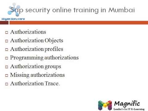 SAP SECURITY ONLINE TRAINING in hyderabad