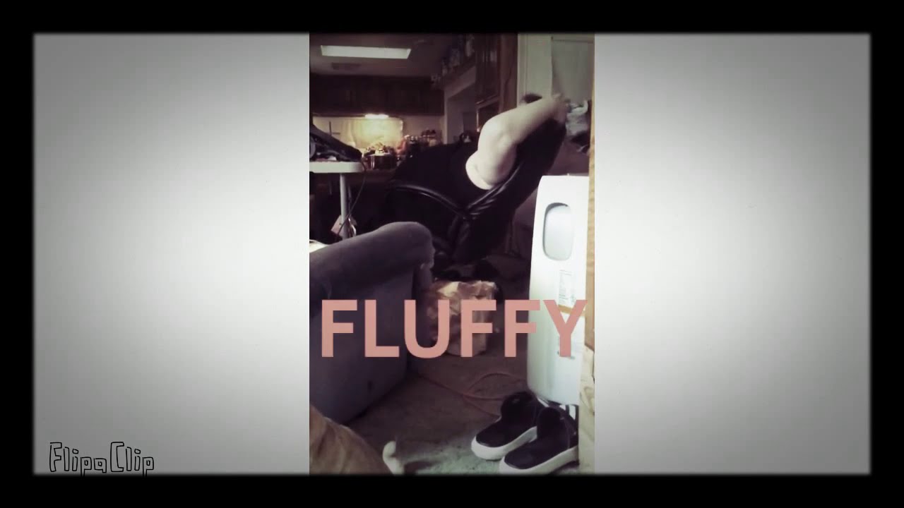Fluffy hair gif