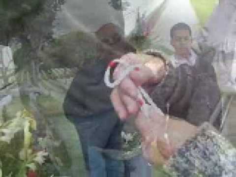 Edmundo's Ashes - Interment