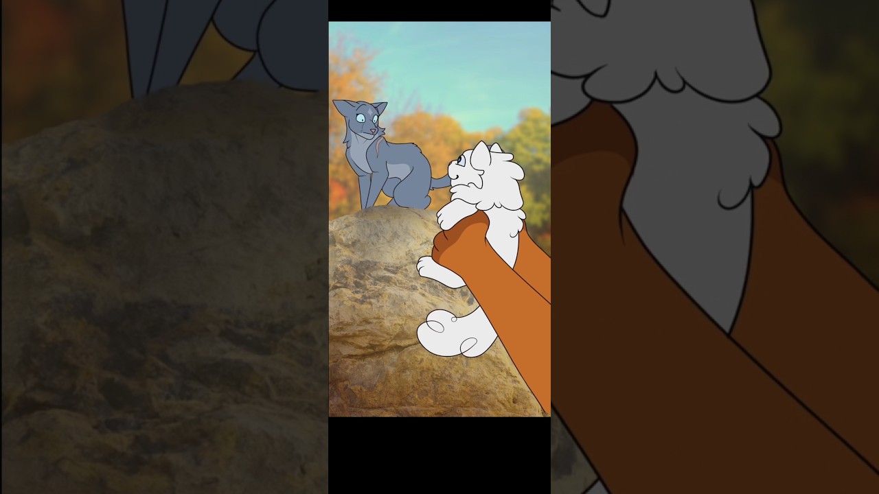 Cloudkit (credits to IgnisFelis🍉 on TikTok) #warriorcats #warriors #cloudtail