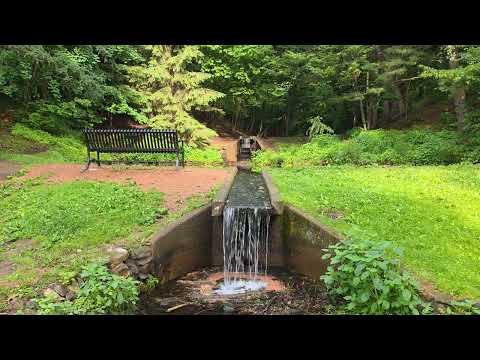 Relaxing Scenery (1-2 minutes long per scene)