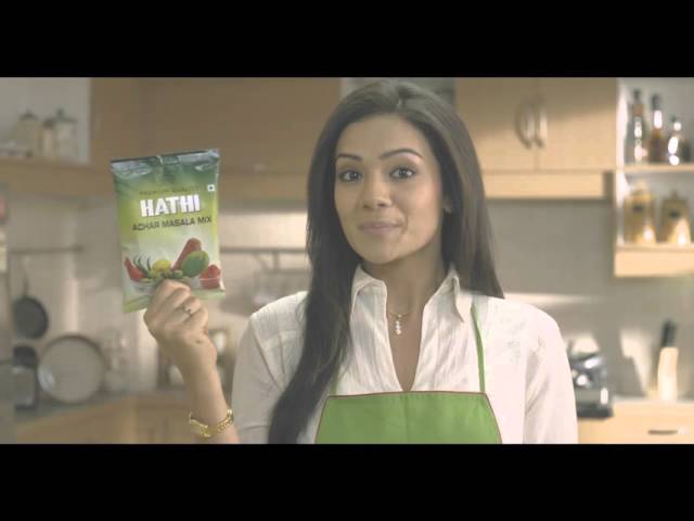 Pre Mix Masala - Hathi Soda Masala Manufacturer from Rajkot