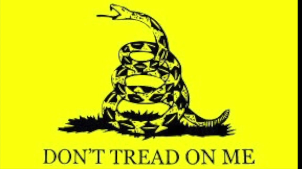 Patrick Devine & Chris Discuss The American Curator