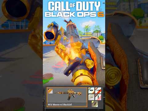 Camo Systems Are Getting an Upgrade in BO6 Season 3...