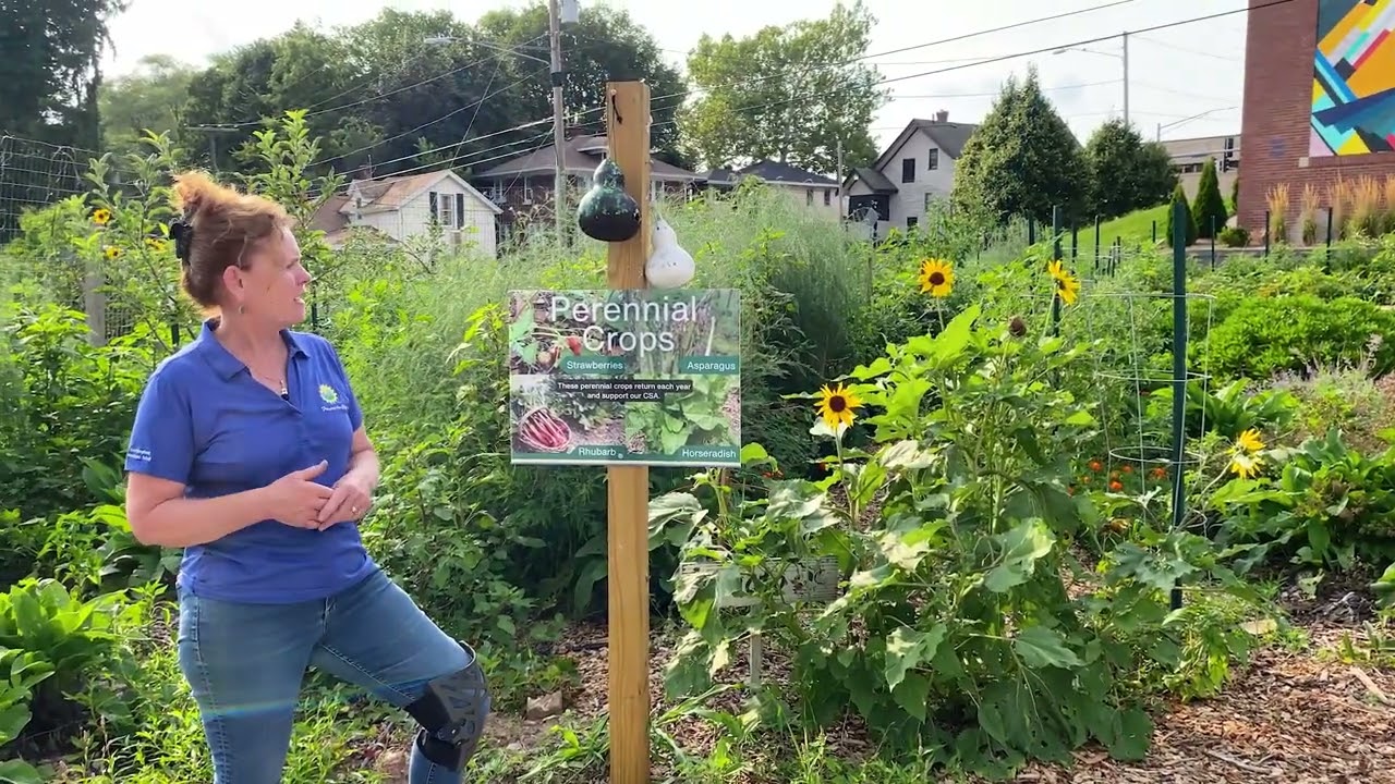 Tour of the Urban Farm at Good Shepherd Montessori School