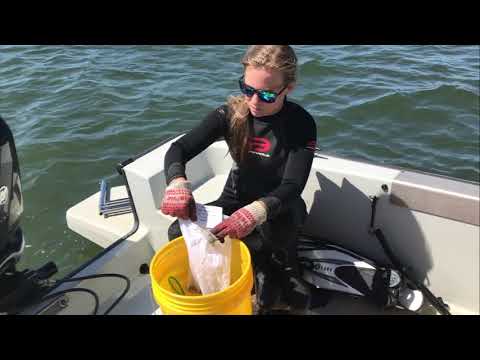 Apalachicola Field Lab