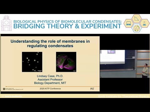 Understanding the role of membranes in regulating condensates | Lindsay Case (MIT)