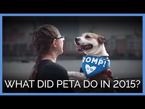 What Did PETA Do in 2015?
