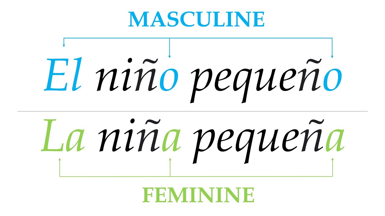 Feature Focus - Gender, Class, and Classifiers